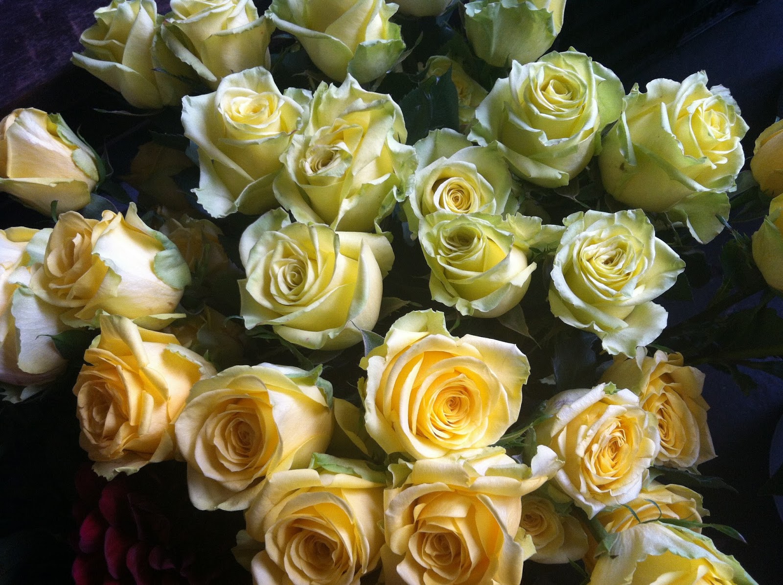 I Love Flowers: June 2013